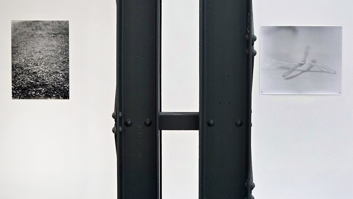 Umění, které (ne)mohou dělat všichni. Brněnská prezentace divných fotek ...